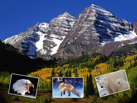 Canada Digital Collages/Photo Montage/Photo Mosaics on Canvas, Canada ...